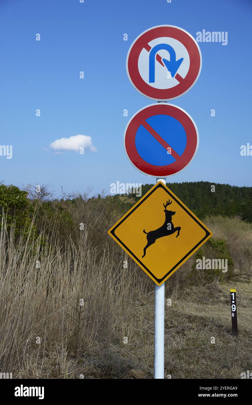 Road sign warning of deer jumping out Stock Photo - Alamy