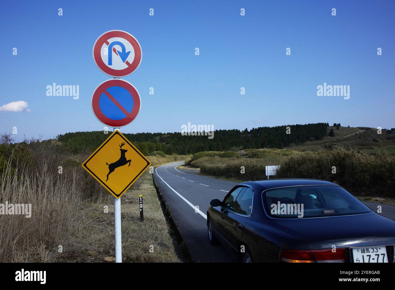 Jumping deer sign hi-res stock photography and images - Alamy