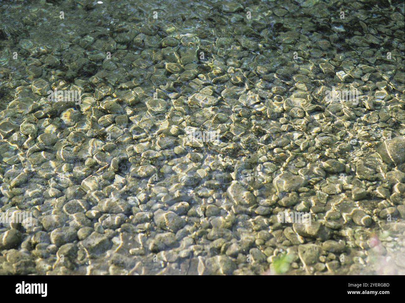 River surface hi-res stock photography and images - Alamy