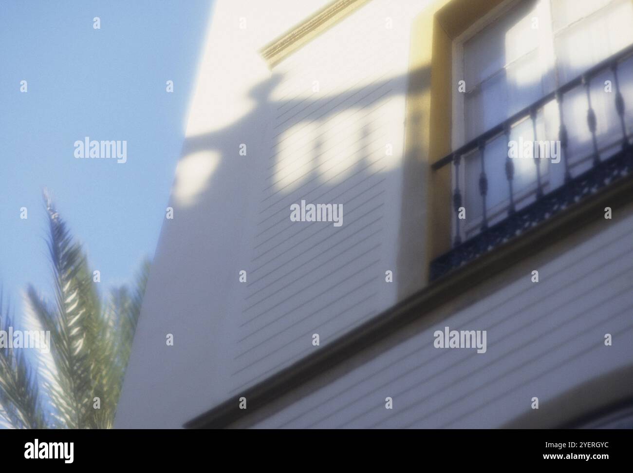 Phoenix shadow hi-res stock photography and images - Alamy