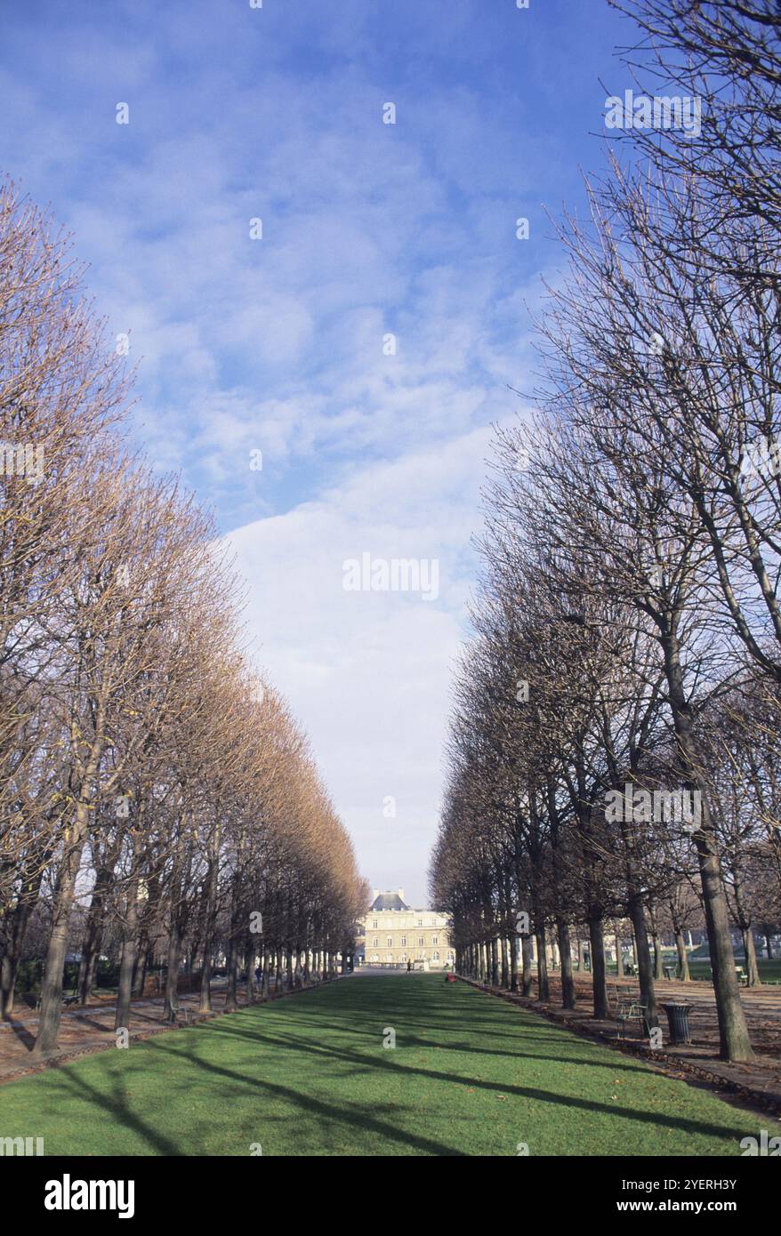 Tree lined street in france hi-res stock photography and images - Alamy