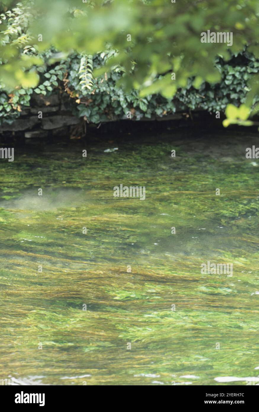 Sense of natural flow hi-res stock photography and images - Alamy