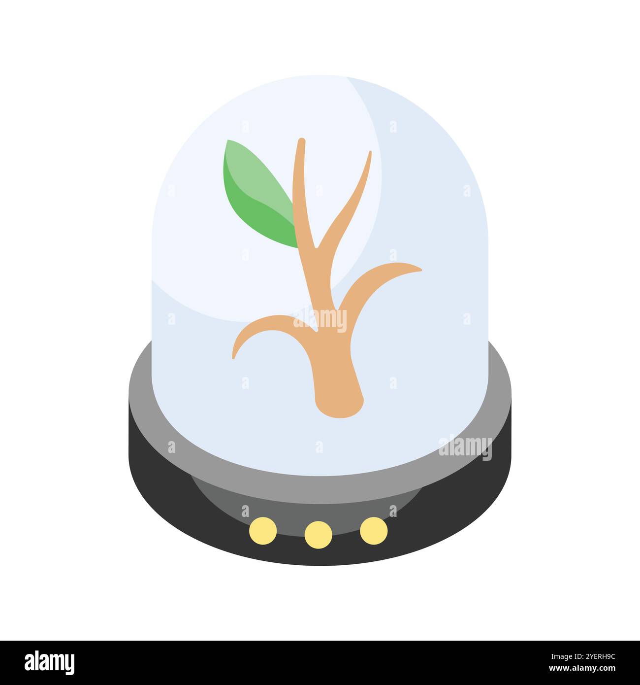 An isometric icon of plant conservation in modern style Stock Vector ...