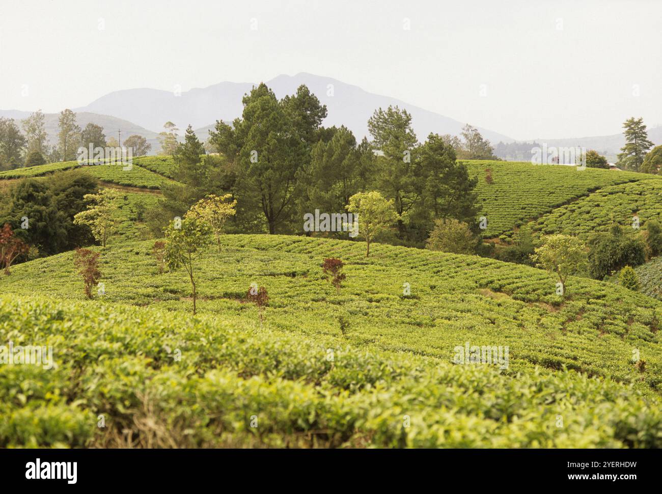 Distant earth hi-res stock photography and images - Alamy