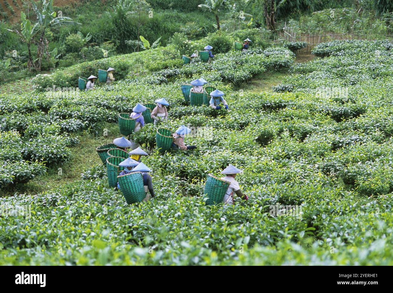 Extensive work hi-res stock photography and images - Alamy