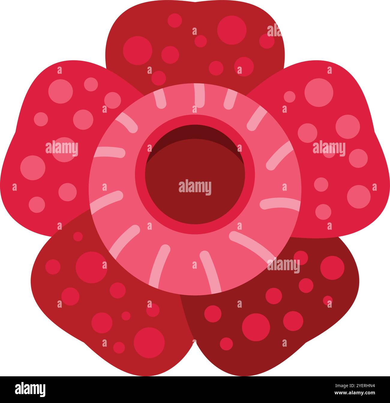Rafflesia arnoldii, the biggest flower in the world, showing its ...