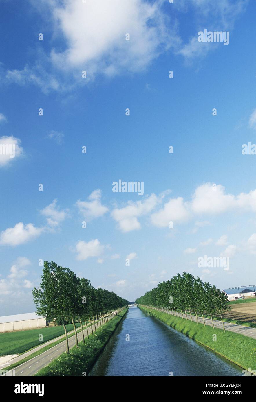 Waterway and row of trees Stock Photo - Alamy