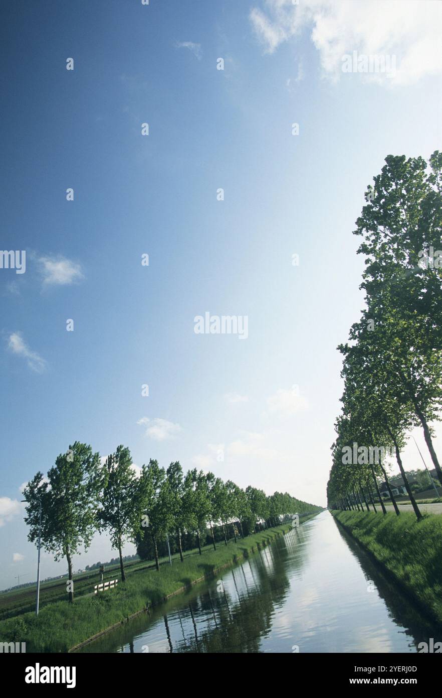 Waterway and row of trees Stock Photo - Alamy