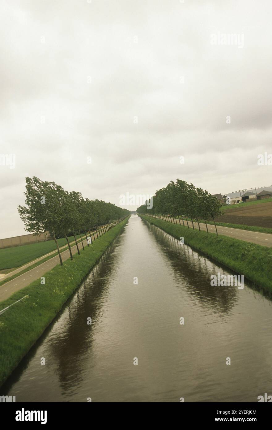 Waterway and row of trees Stock Photo - Alamy