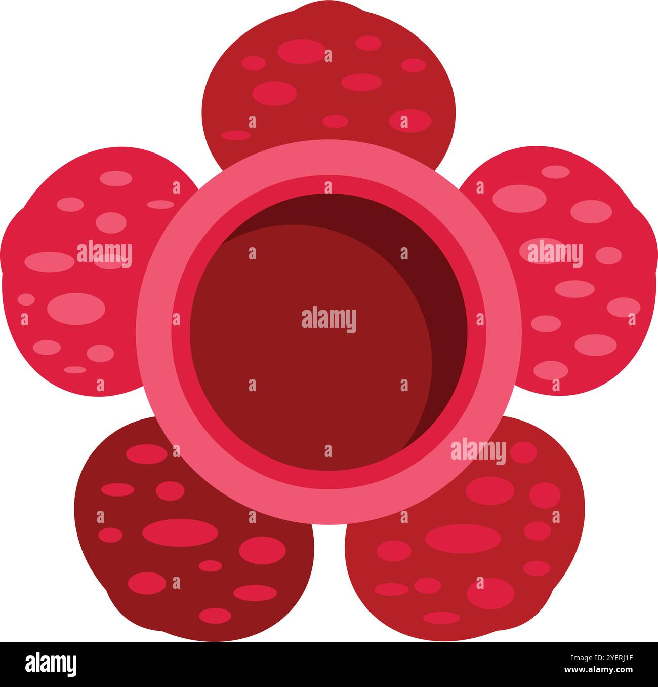 Large rare blossom Stock Vector Images - Alamy