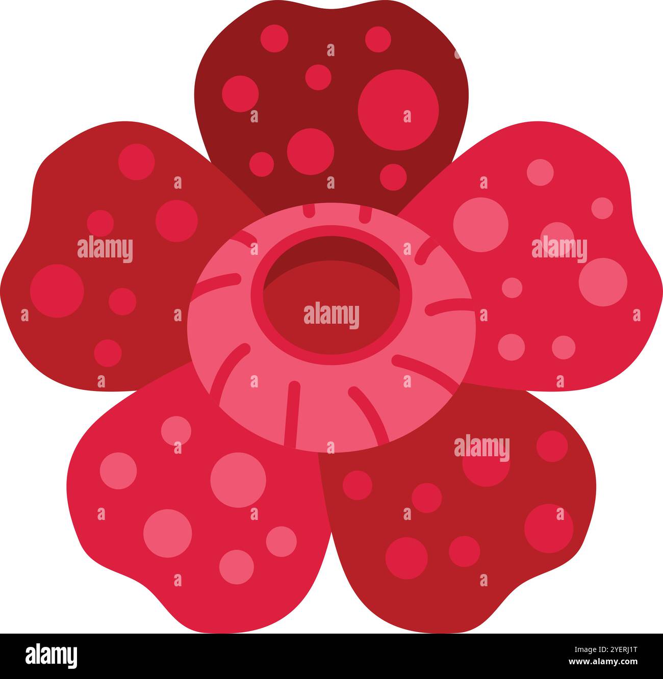 Rafflesia flower blooming in a botanical garden, showing off its unique ...