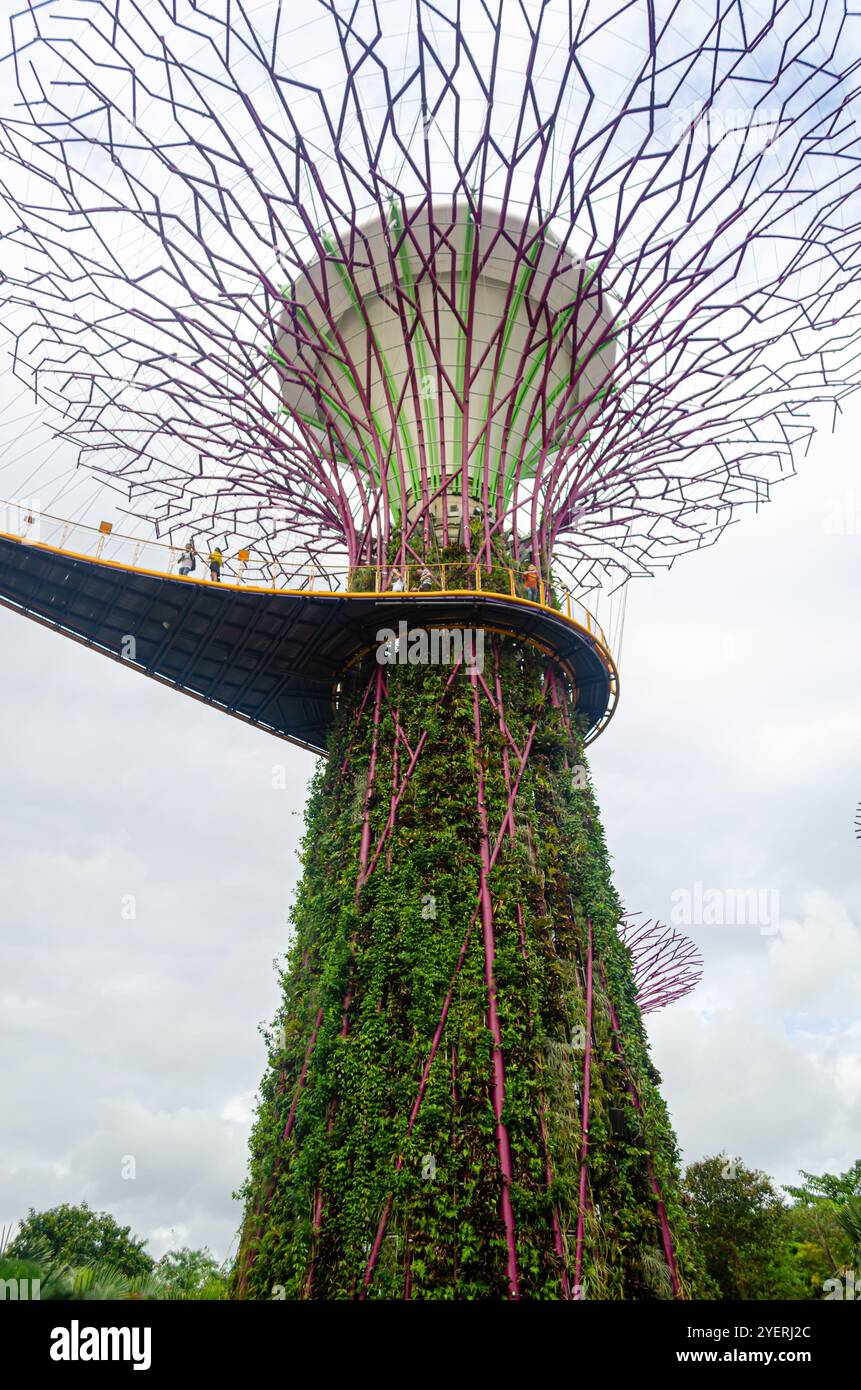 Supertree Grove trees in the Gardens by the Bay Stock Photo - Alamy