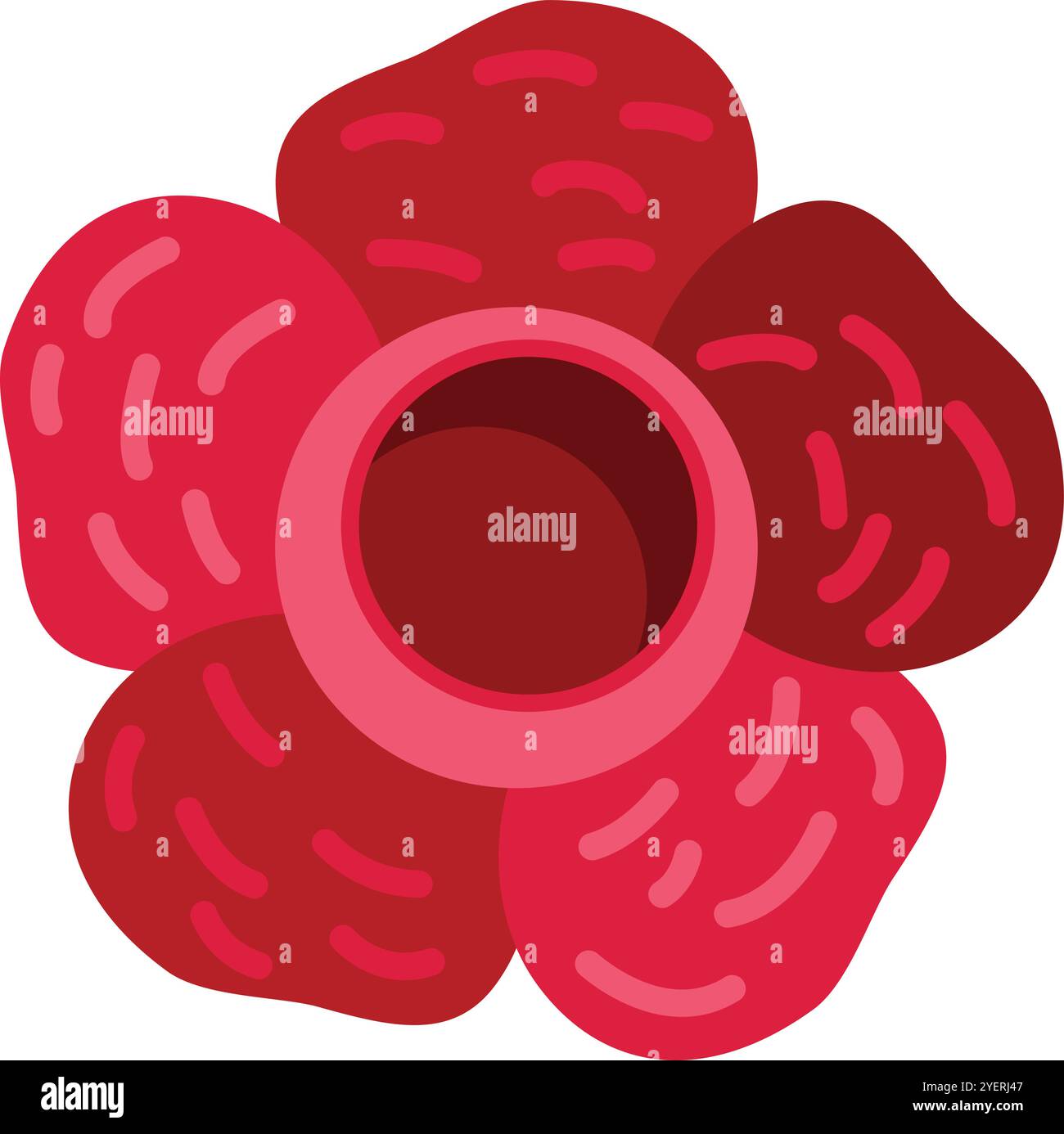 Rafflesia flower is blooming, showing its vibrant red petals and ...