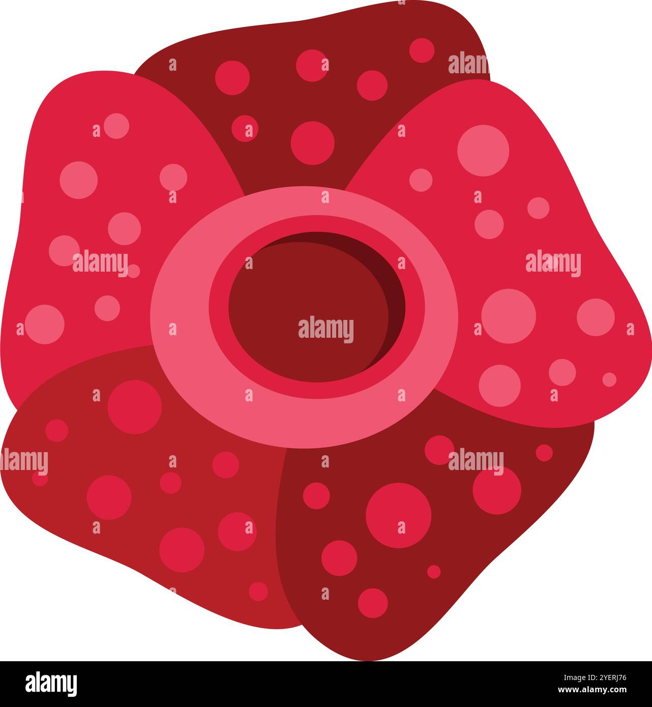 Rafflesia arnoldii illustration hi-res stock photography and images - Alamy