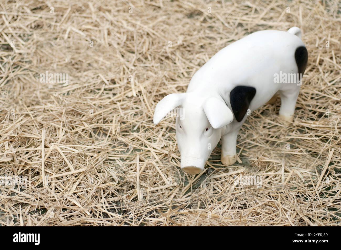 Garden mascot hi-res stock photography and images - Alamy