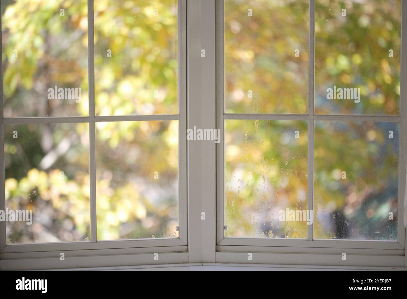 Autumn sunlight seen through hi-res stock photography and images - Alamy