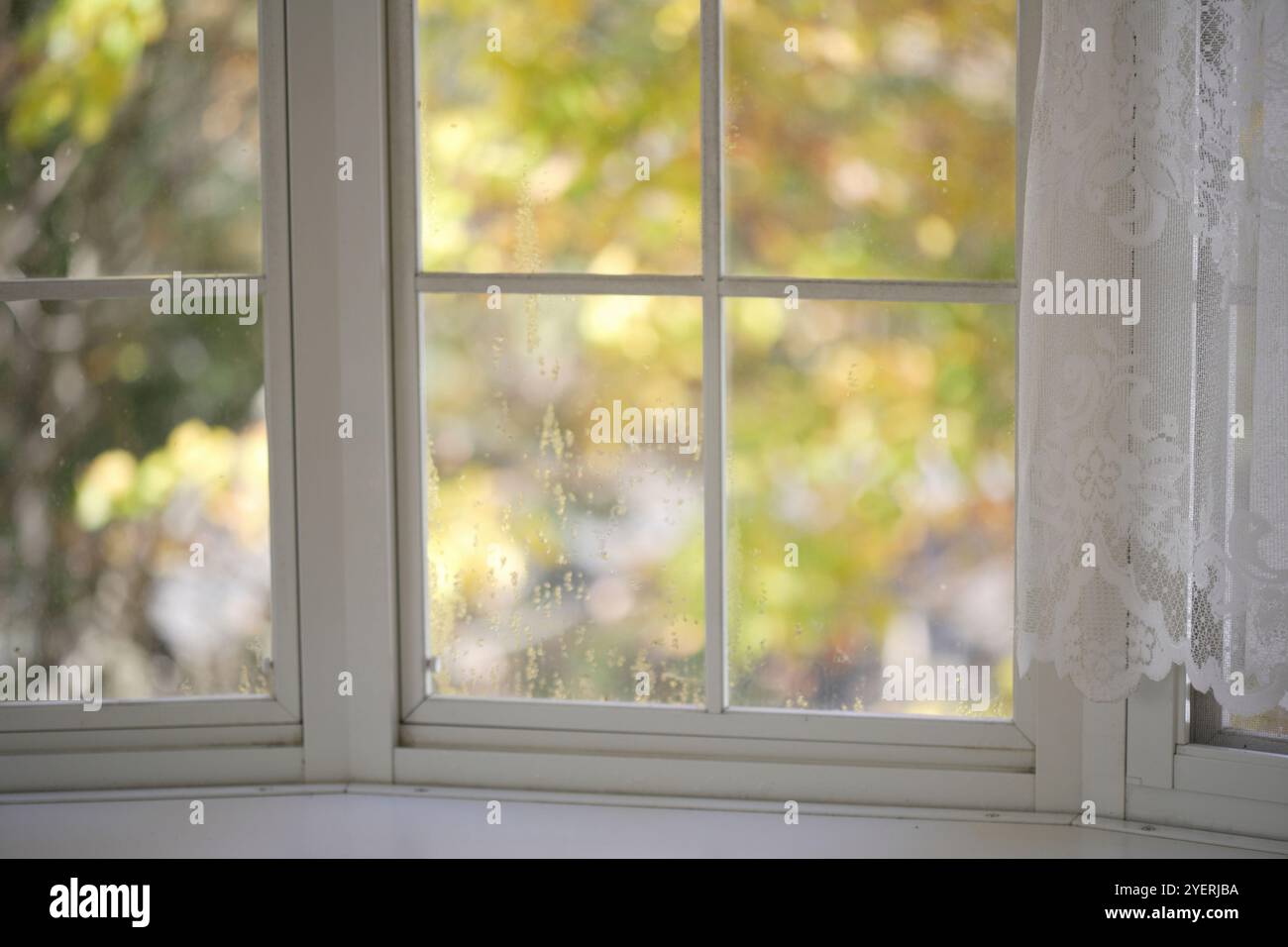 Autumn seen through white window sill Stock Photo - Alamy