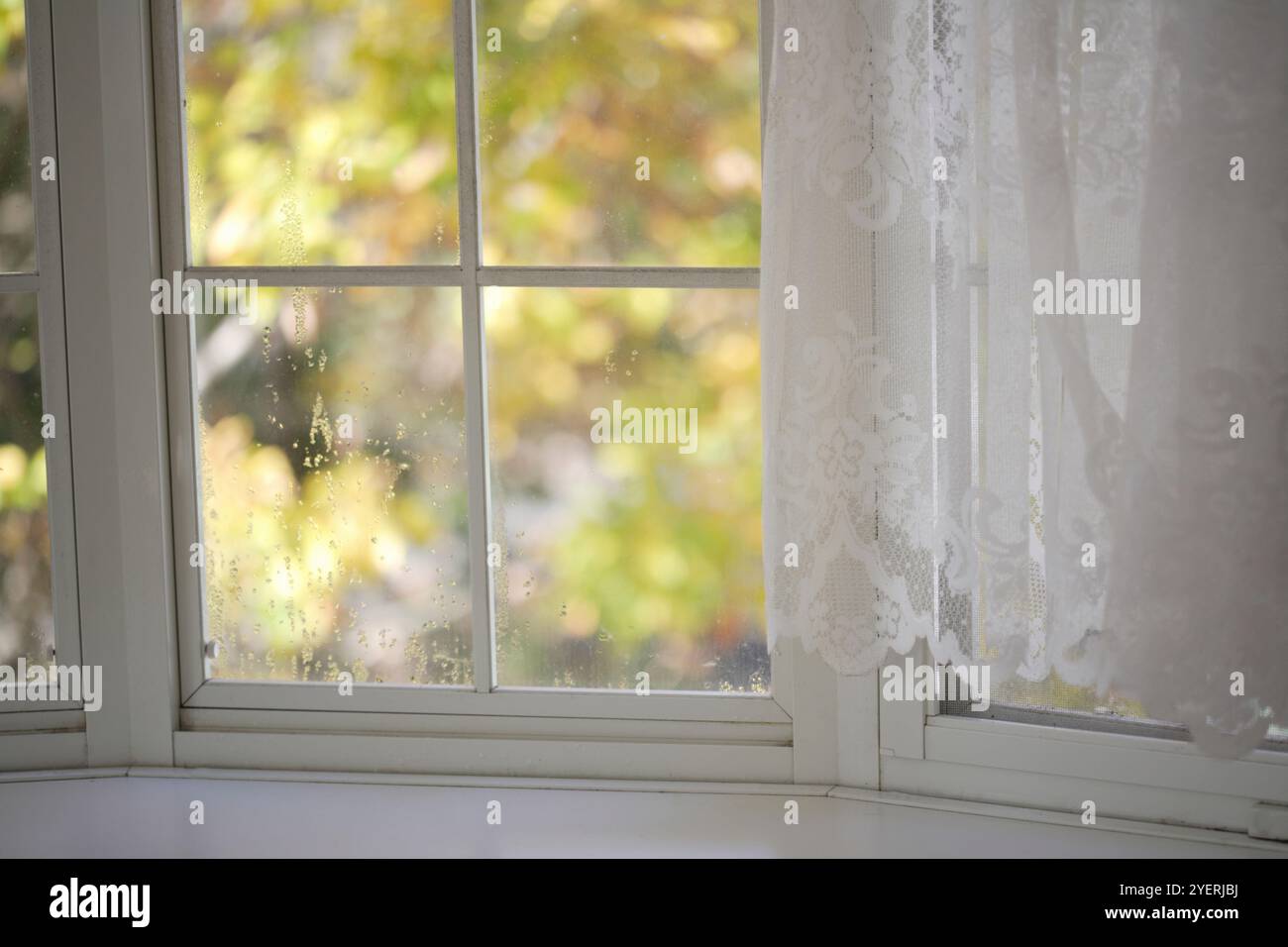 Autumn seen through white window sill Stock Photo - Alamy