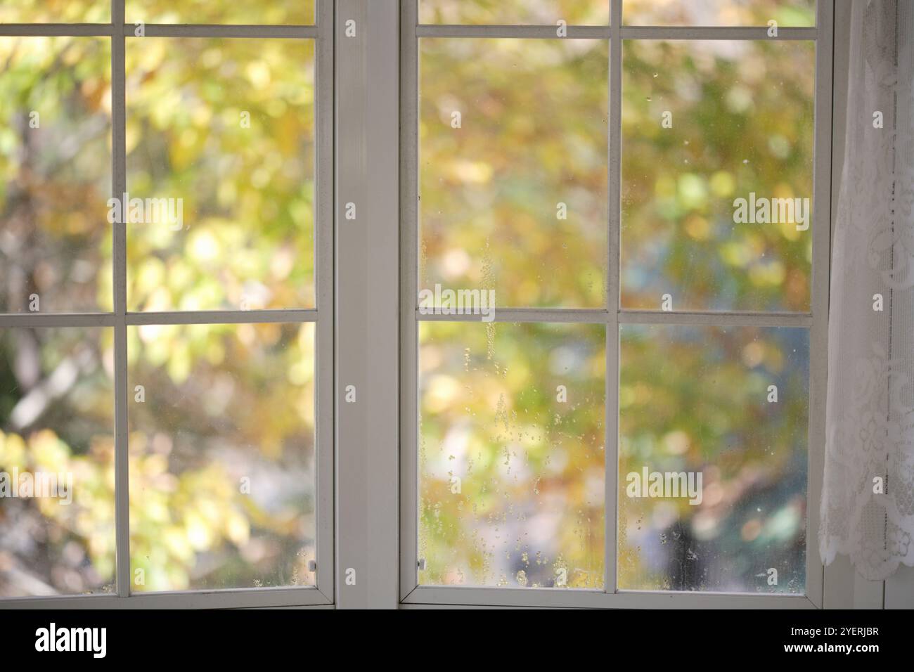 Autumn seen through white window sill Stock Photo - Alamy