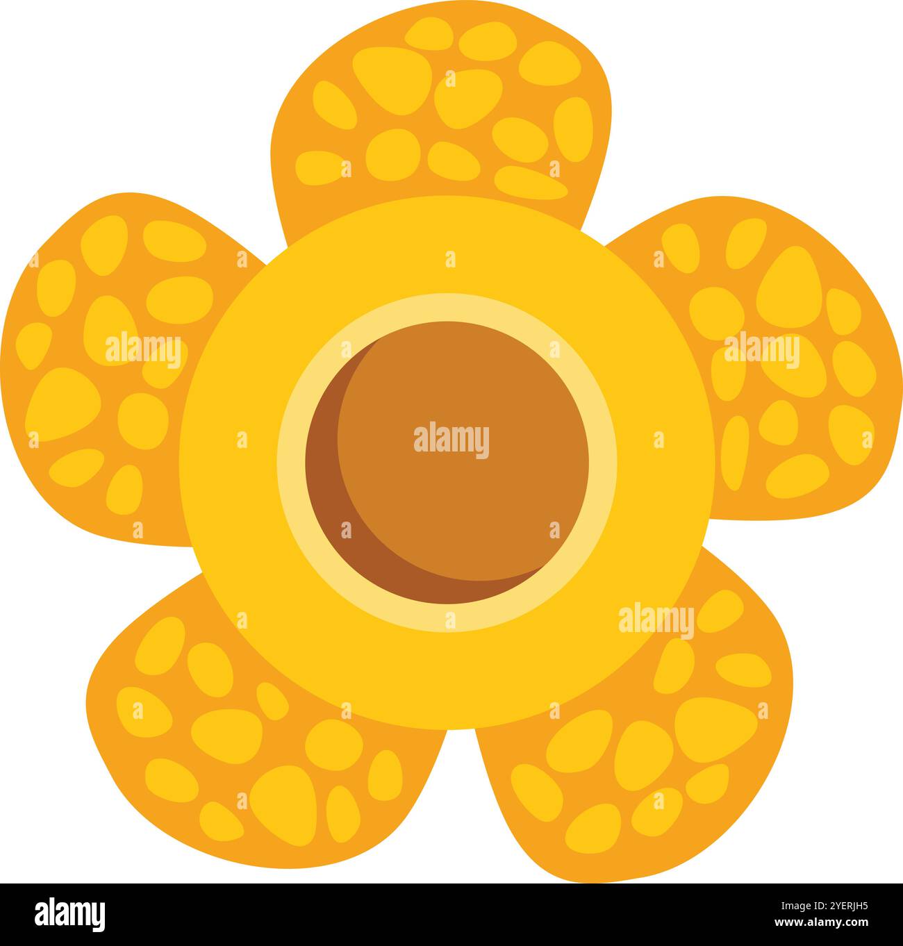 Rafflesia arnoldii flower blooming and showing its five petals and its ...