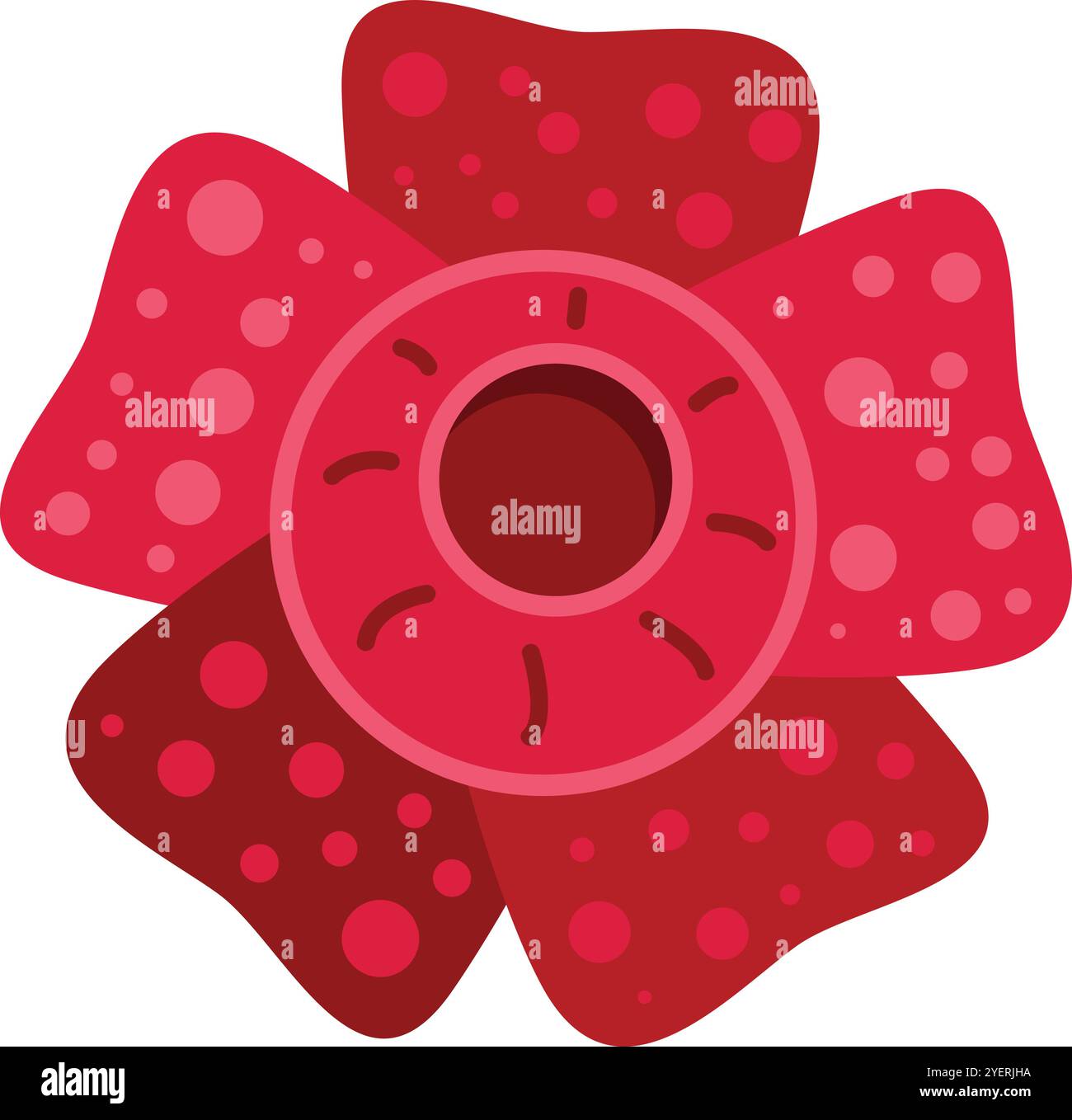 Rafflesia arnoldii flower blooming with five petals and a dotted ...