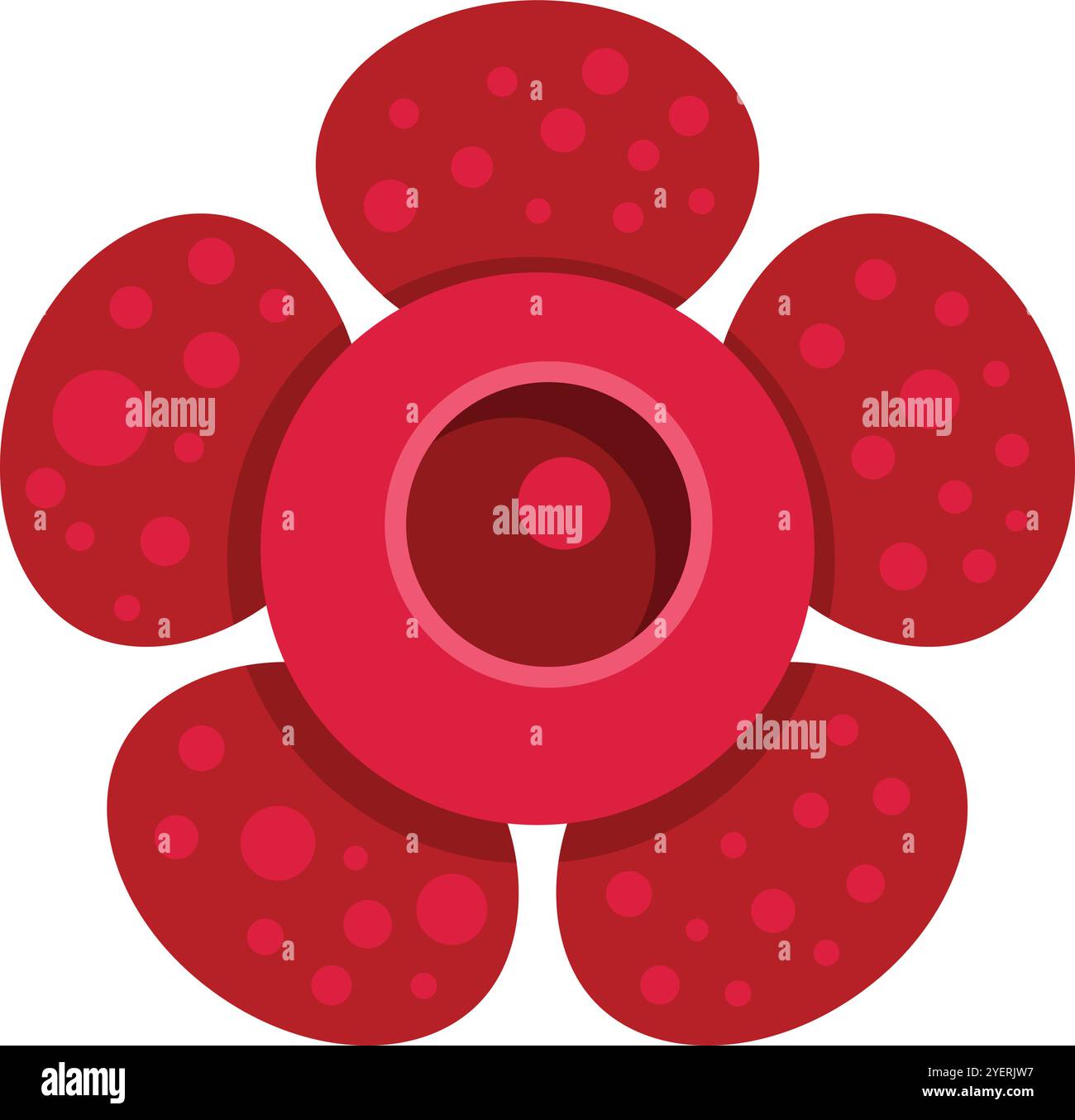 Rafflesia flower blooming showing pistil and petals, exotic flora of southeast asian rainforest ...