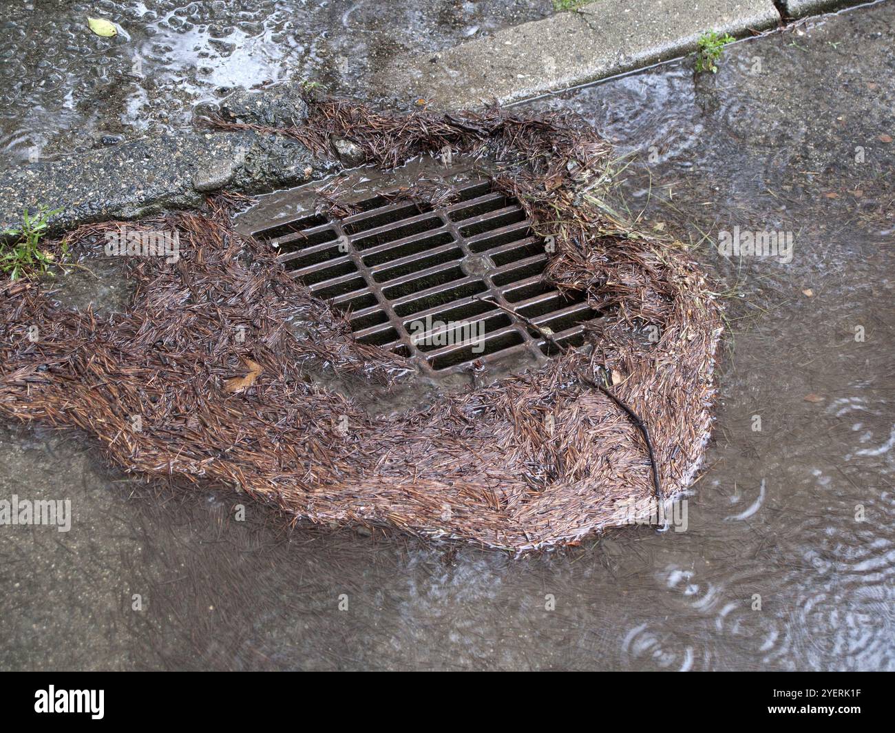 Puddle drain hi-res stock photography and images - Alamy