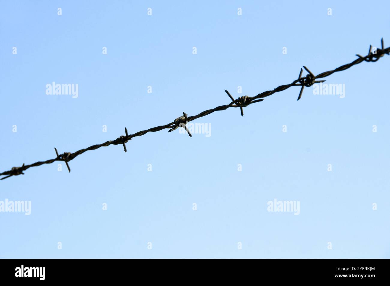 Thorn wire fence hi-res stock photography and images - Alamy
