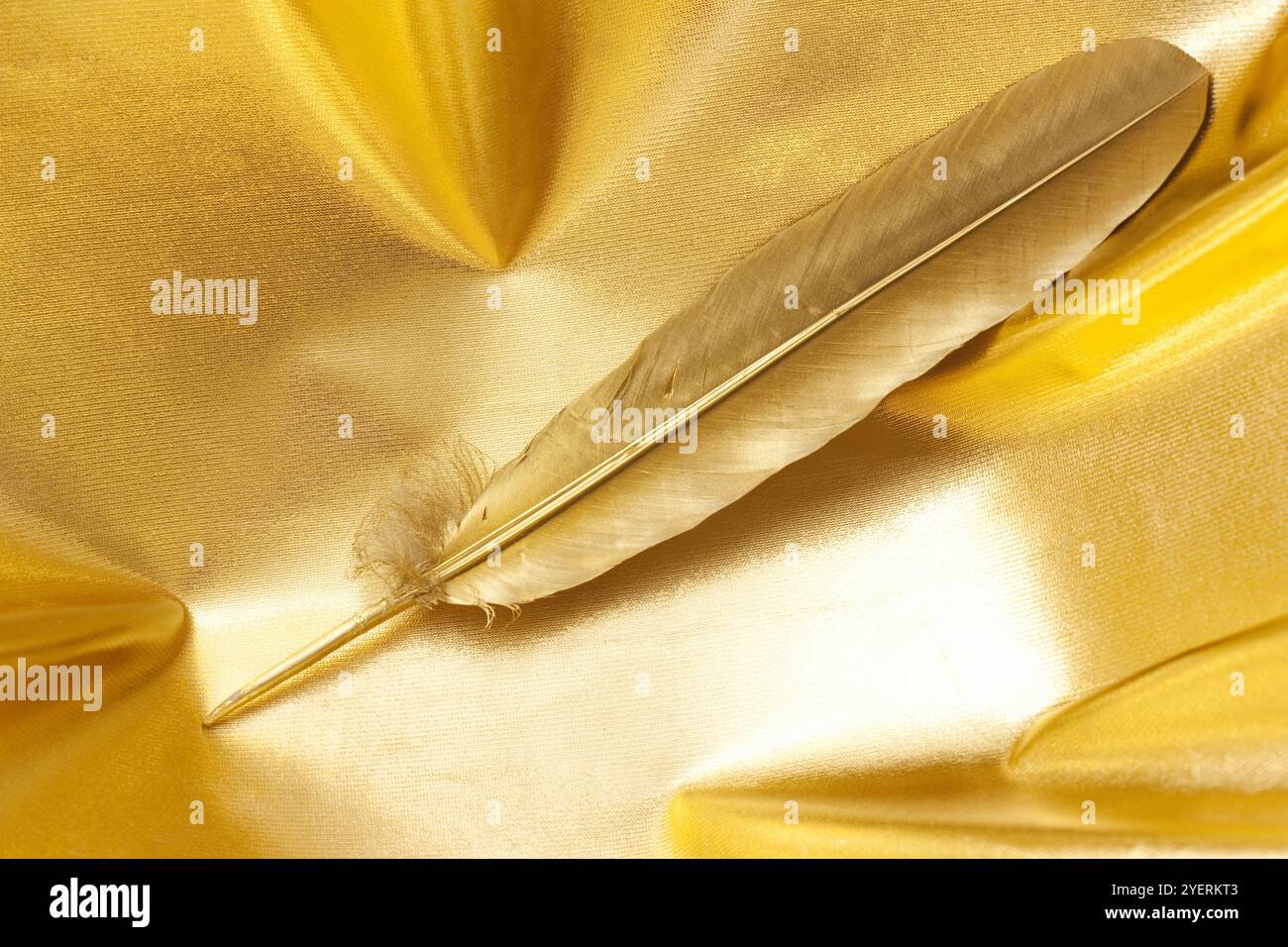 Gold feather wing hi-res stock photography and images - Alamy