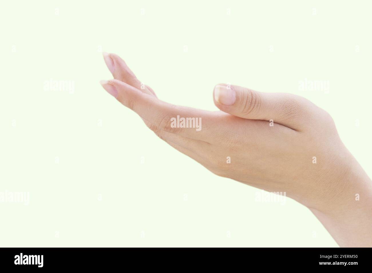 Womans anatomy hi-res stock photography and images - Alamy