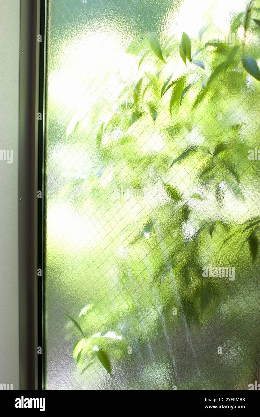 Article leaf home hi-res stock photography and images - Alamy