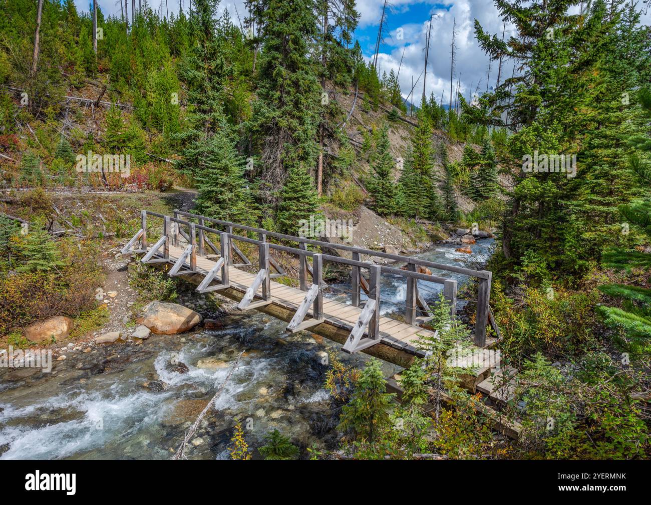 Wooden footbridge over Numa Creek In Kootenay National Park, British ...