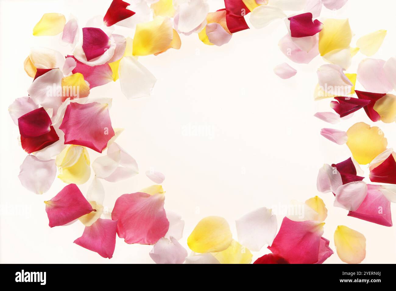 Petal frame hi-res stock photography and images - Alamy