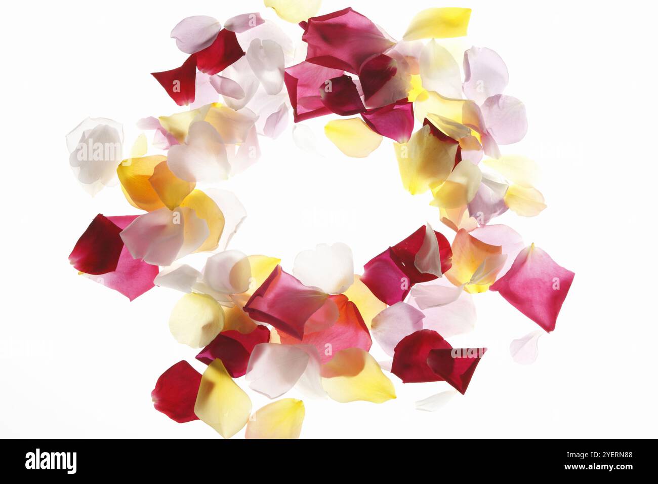 Structural arrangement hi-res stock photography and images - Alamy