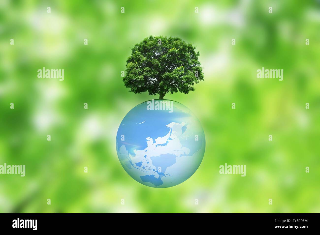 Globe and a single tree Stock Photo - Alamy