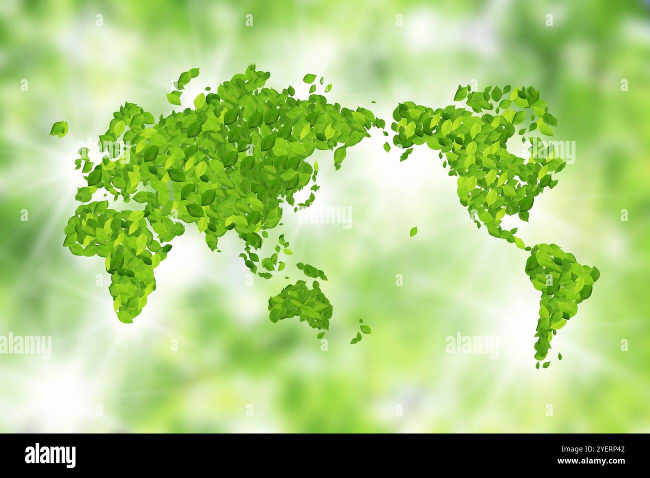 Map leaves hi-res stock photography and images - Alamy