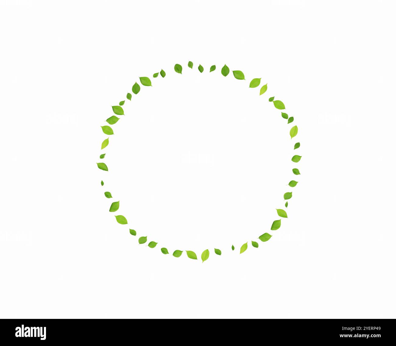 Circle of nature Cut Out Stock Images & Pictures - Alamy