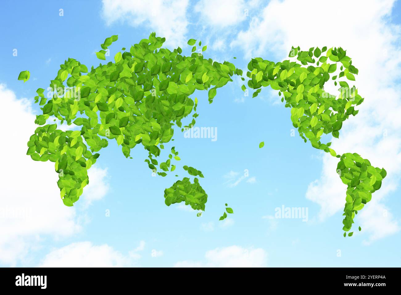 Map leaves hi-res stock photography and images - Alamy