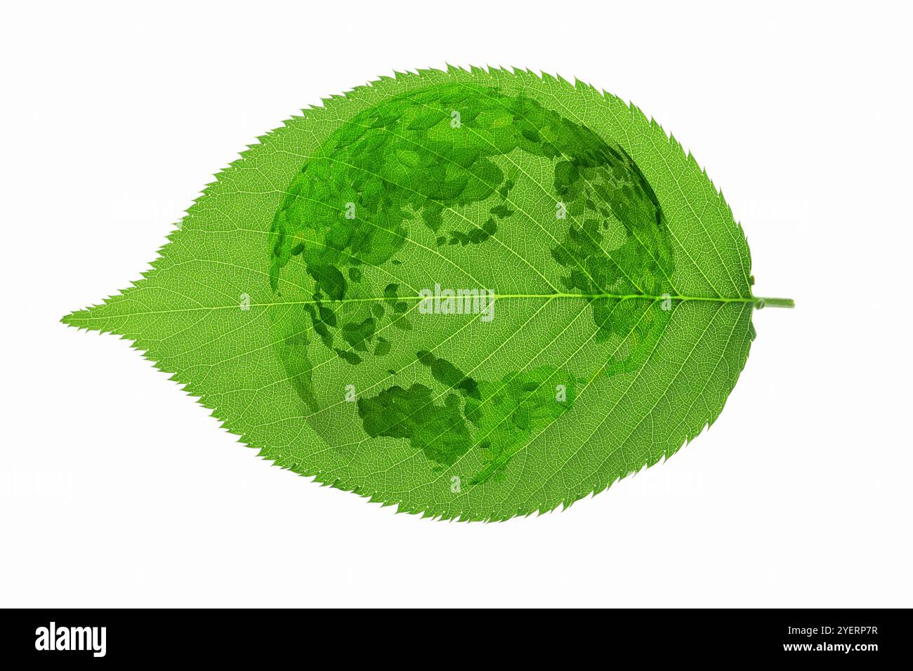 Ecology world map green Cut Out Stock Images & Pictures - Alamy