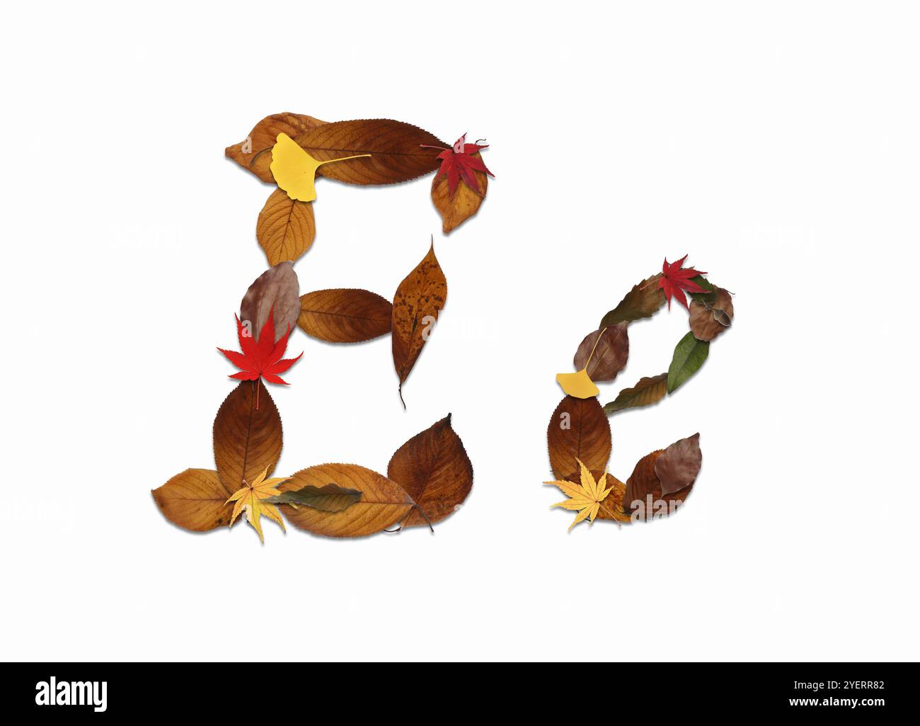 Letters on dead leaves, white background Stock Photo - Alamy