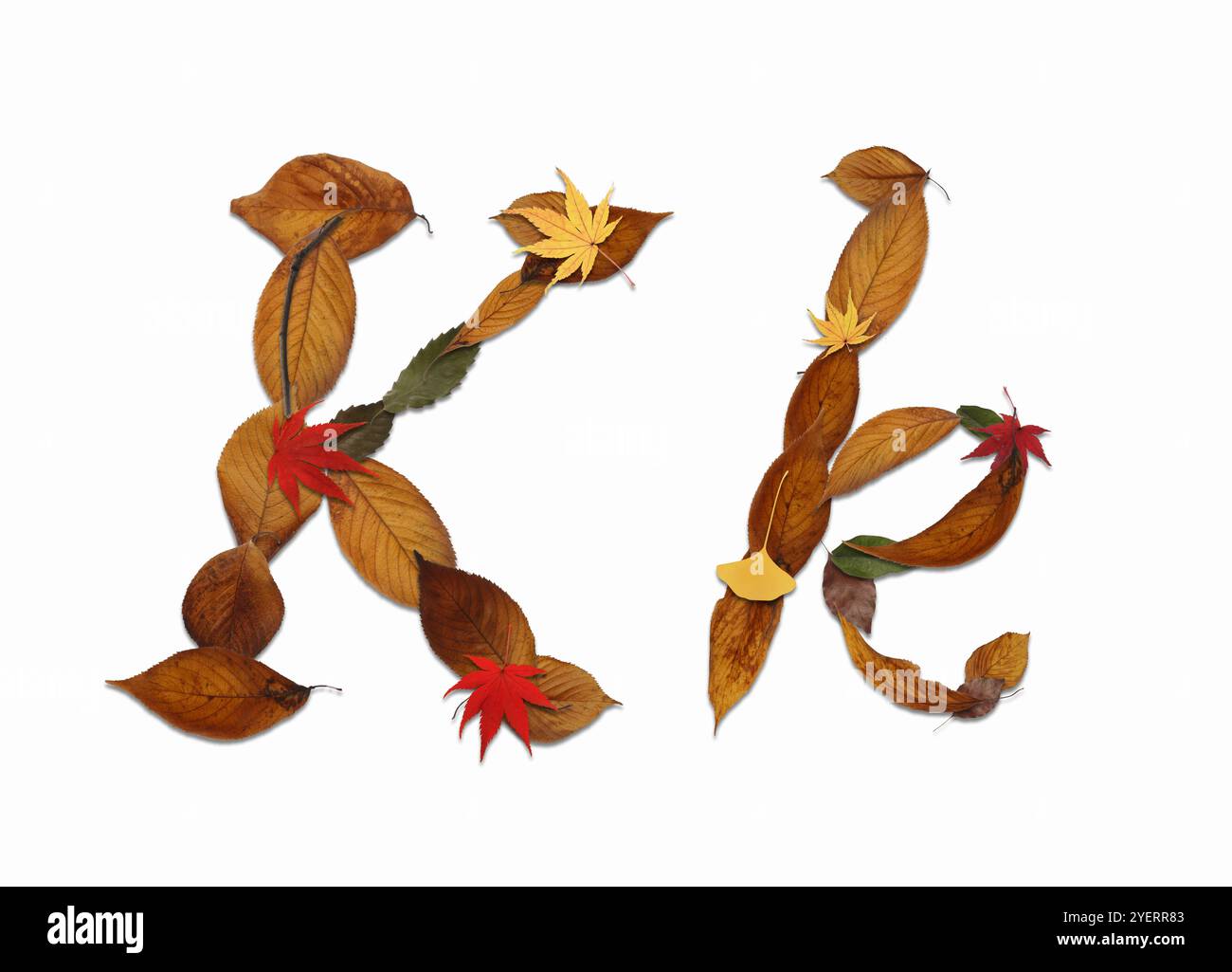 Letters on dead leaves, white background Stock Photo - Alamy