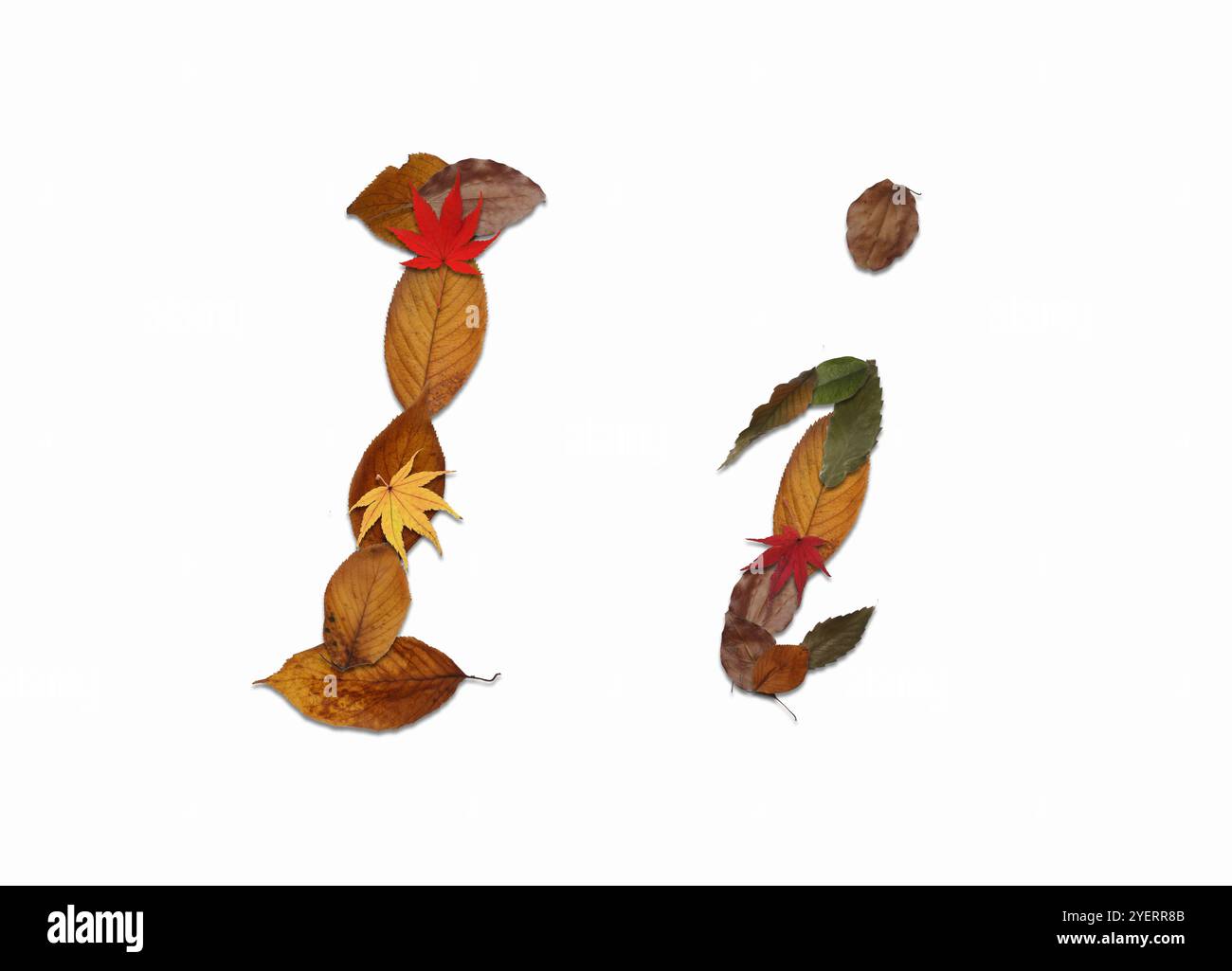 Letters on dead leaves, white background Stock Photo - Alamy