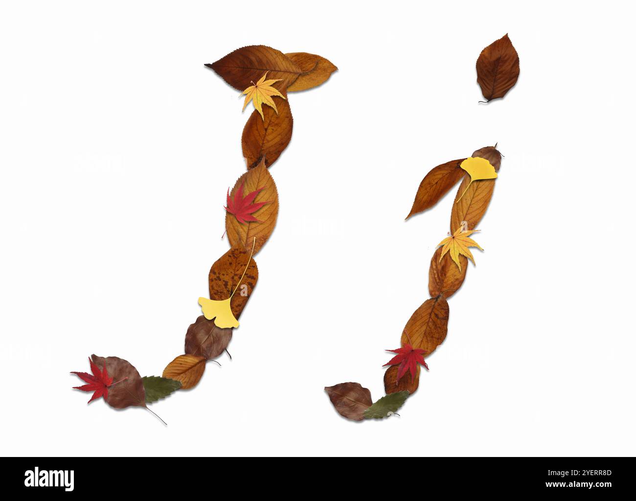 Letters on dead leaves, white background Stock Photo - Alamy