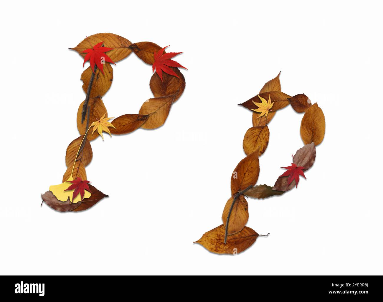 Letters on dead leaves, white background Stock Photo - Alamy