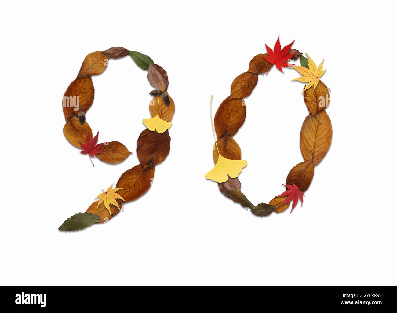 Letters on dead leaves, white background Stock Photo - Alamy