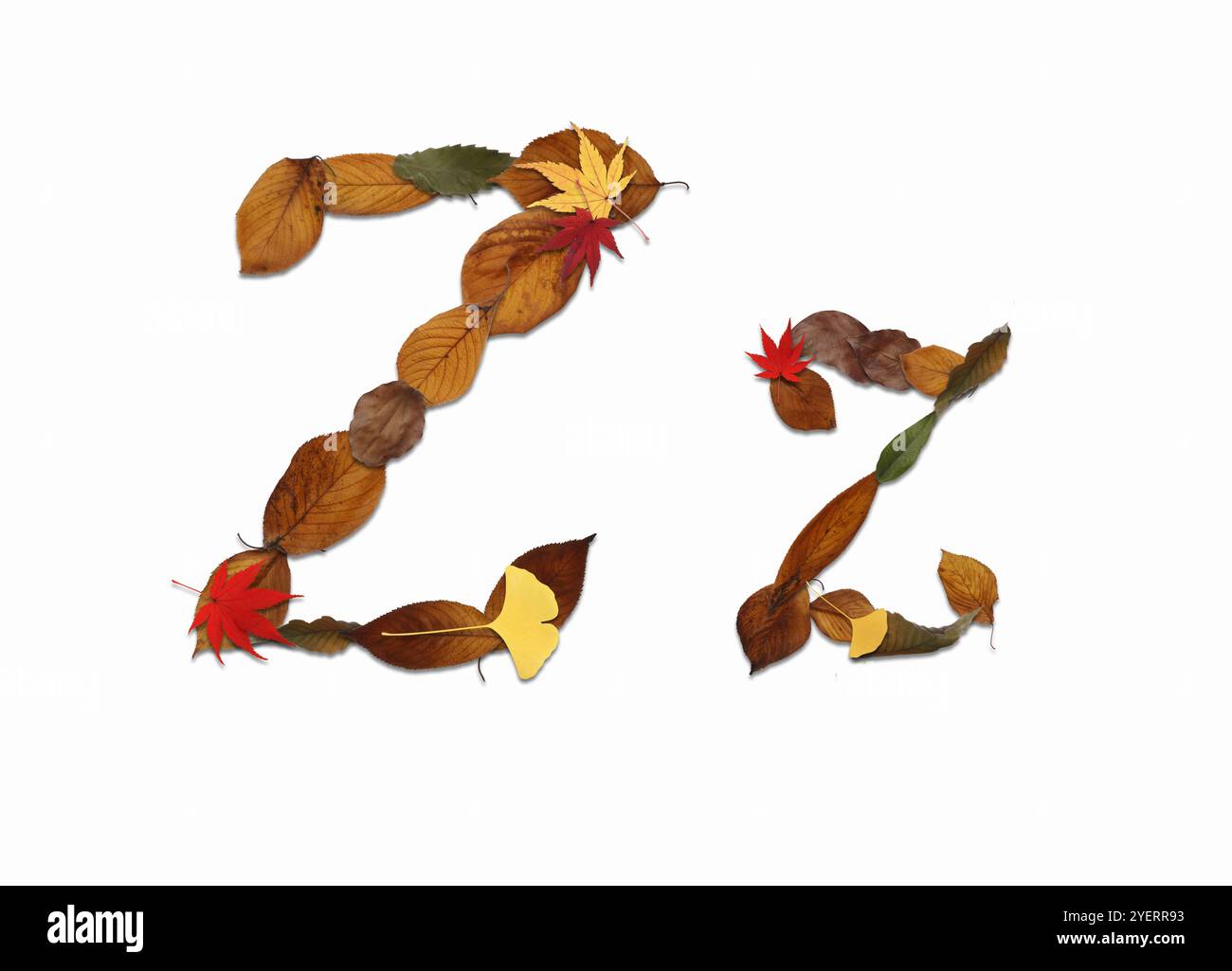 Letters on dead leaves, white background Stock Photo - Alamy