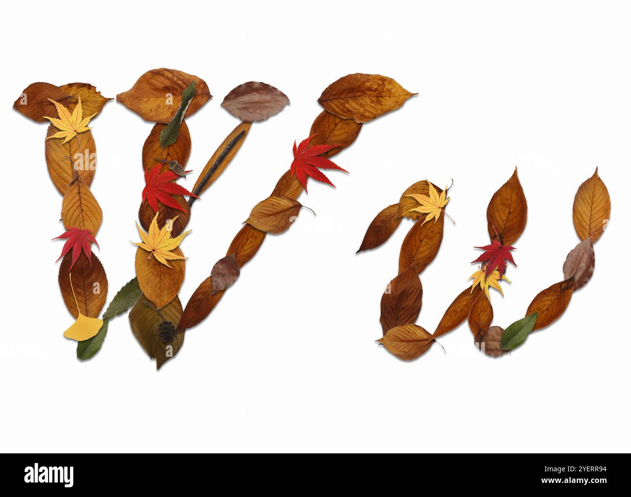 Letters on dead leaves, white background Stock Photo - Alamy