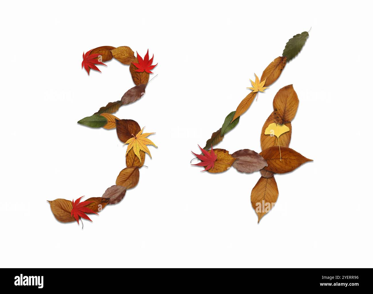 Letters on dead leaves, white background Stock Photo - Alamy