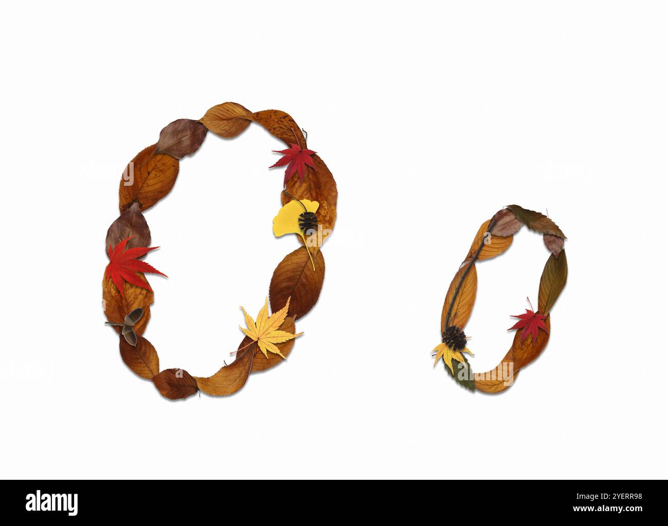 Letters on dead leaves, white background Stock Photo - Alamy