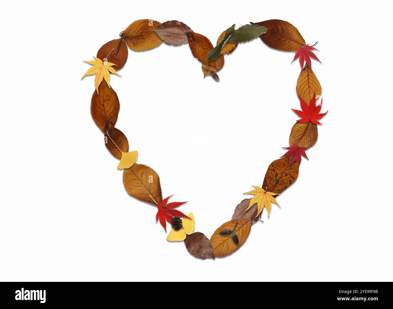 Letters on dead leaves, white background Stock Photo - Alamy